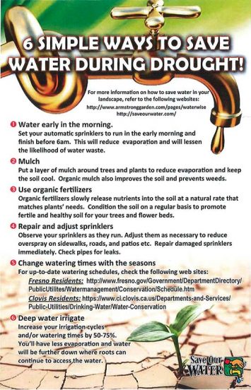 Providence Horticulture » Drought Information