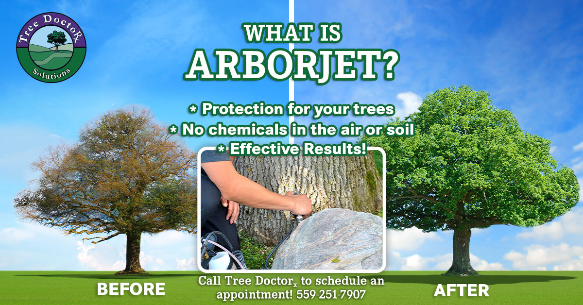 Providence Horticulture » Arborjet