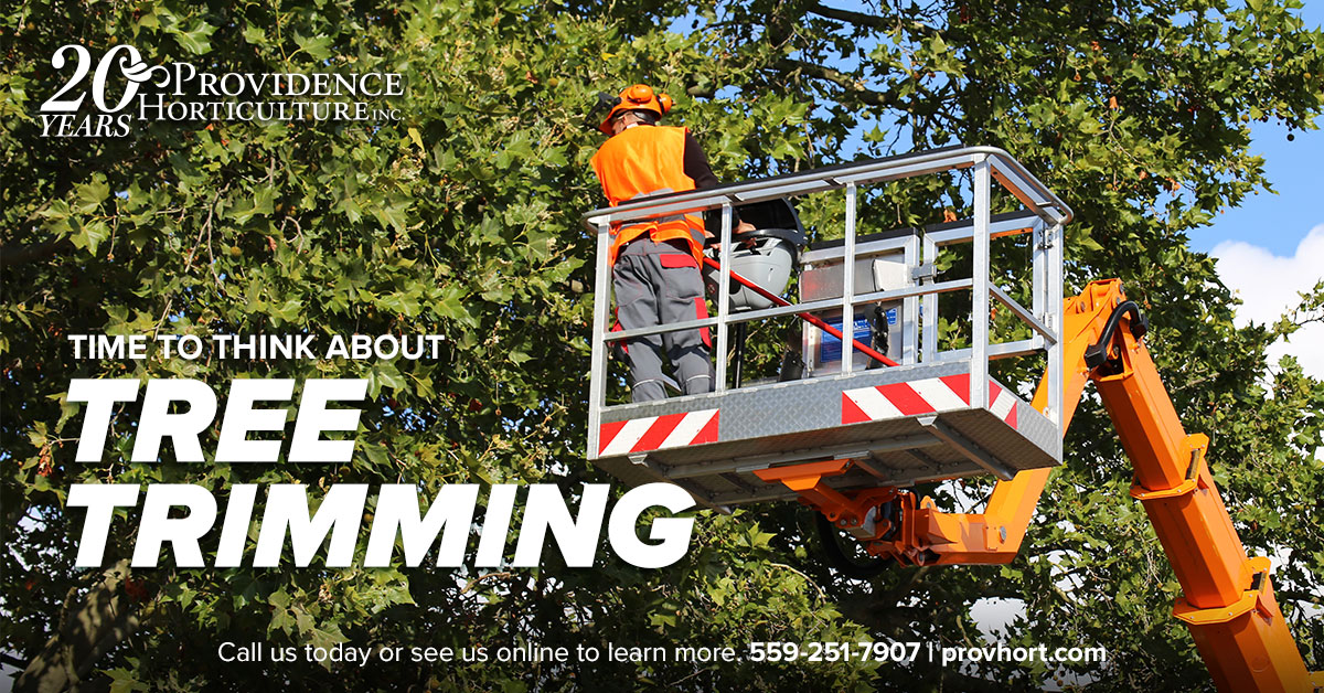 Providence Horticulture » Cobb’s Tree Care Services